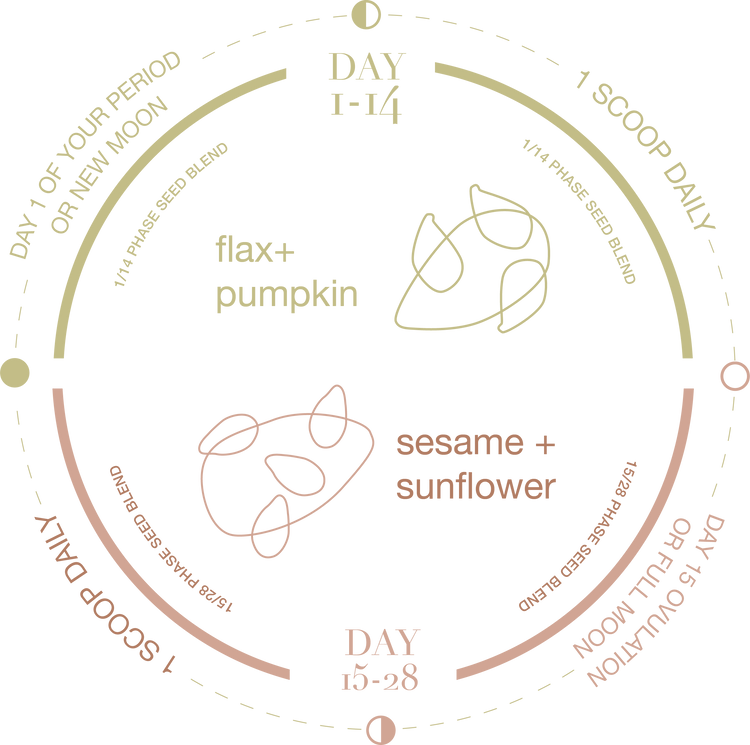 About – The Seed Cycle